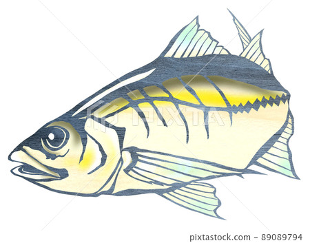 可煮的美味魚竹莢魚 插圖素材 89089794 PIXTA圖庫