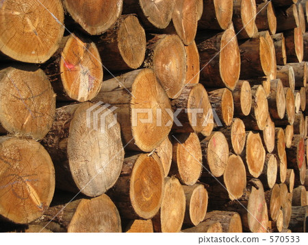 Stacked log - Stock Photo [570533] - PIXTA