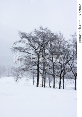 Snowy field - Stock Photo [572602] - PIXTA