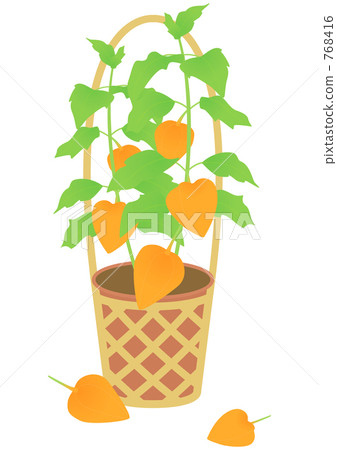 地面櫻桃-插圖素材 [768416] - PIXTA圖庫