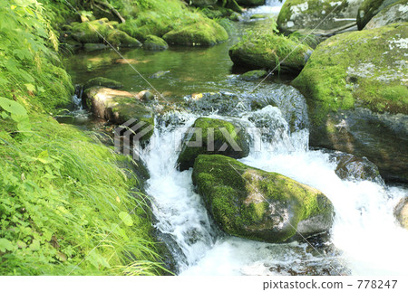 Serenity of the source - Stock Illustration [778247] - PIXTA