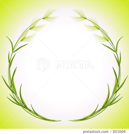 Frame and barley - Stock Illustration [801606] - PIXTA