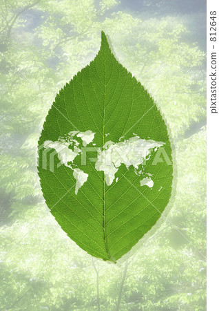Leaf's world map - Stock Illustration [812648] - PIXTA
