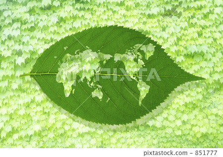 Leaf's world map - Stock Illustration [851777] - PIXTA