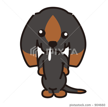 daks, dacks, toy dog - Stock Illustration [904660] - PIXTA