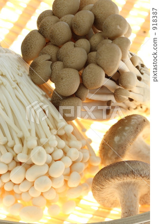 Assorted mushrooms - Stock Photo [918387] - PIXTA