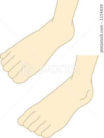 feet, foot, angled upward - Stock Illustration [1154839] - PIXTA