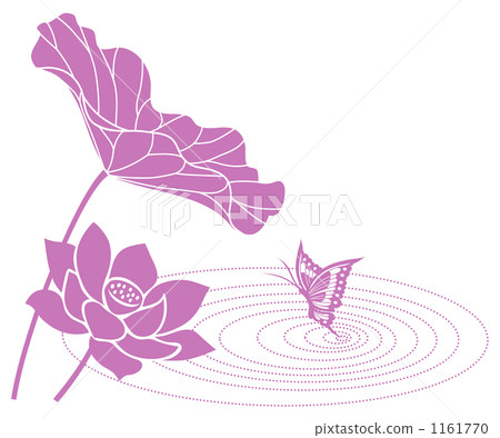 Lotus lily lotus - Stock Illustration [1161770] - PIXTA