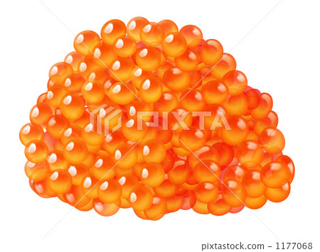 salmon roe - Stock Illustration [1177068] - PIXTA