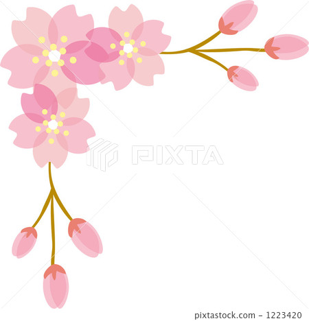 Cherry tree frame - Stock Illustration [1223420] - PIXTA