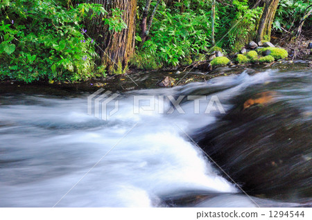 Flowing clear stream fresh green - Stock Illustration [1294544] - PIXTA