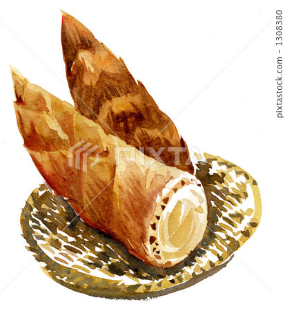 Bamboo shoots 010 m - Stock Illustration [1308380] - PIXTA