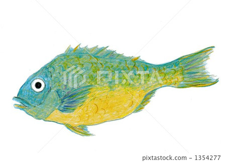 Blue Snapper - Stock Illustration [1354277] - PIXTA