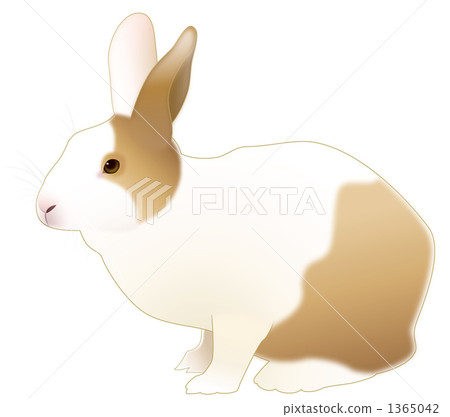 Panda rabbit beige - Stock Illustration [1365042] - PIXTA