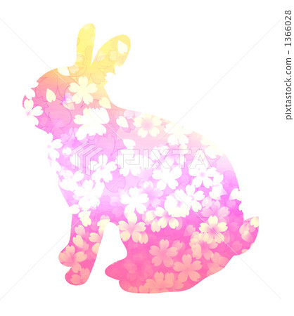 Sakura rabbit (Akira) - Stock Illustration [1366028] - PIXTA
