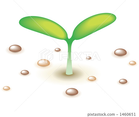 Seed Sprouting Clipart