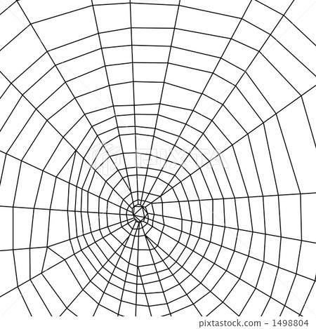 Spider's nest (white background) - Stock Illustration [1498804] - PIXTA
