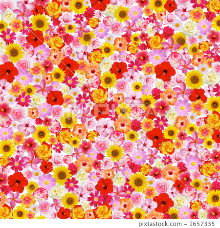 Flower Collage - Stock Photo [1657335] - PIXTA