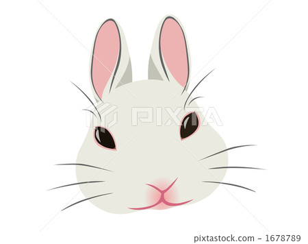 Usagi's face 2 - Stock Illustration [1678789] - PIXTA