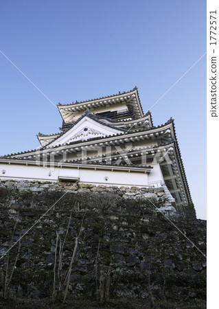important cultural property, kochi castle, castle - Stock Photo ...