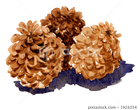 Pine boxing 1031pix - Stock Illustration [1928354] - PIXTA