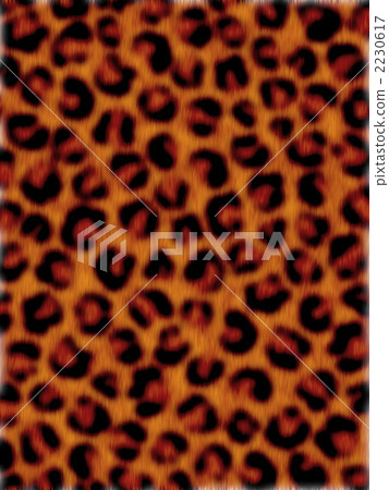 Large leopard hair pattern - Stock Illustration [2230617] - PIXTA