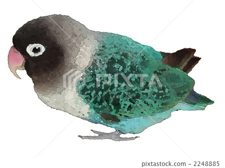 Blue Button Inko - Stock Illustration [2248885] - PIXTA