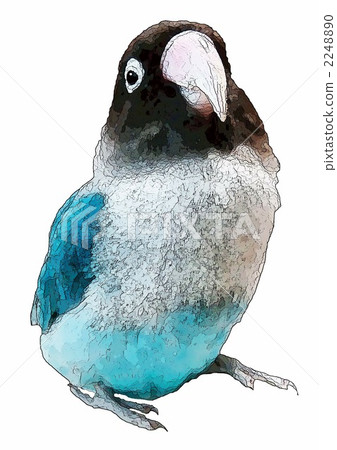 Blue Button Inko - Stock Illustration [2248890] - PIXTA