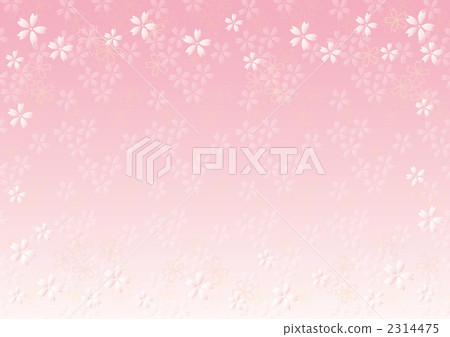 Cherry Tintry Gradient Sakura Color Horizontal - Stock Illustration ...