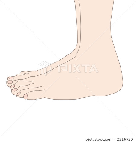 Foot (sideways) - Stock Illustration [2316720] - PIXTA