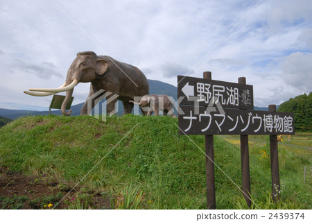 palaeoloxodon namadicus, information board,... - Stock Photo [2439374 ...