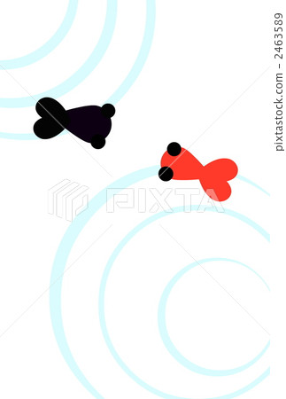 Two goldfish (image of meeting) - Stock Illustration [2463589] - PIXTA