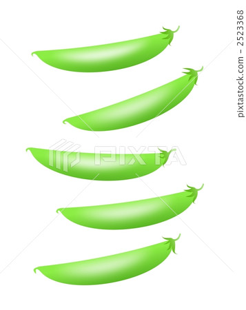 Snap pea - Stock Illustration [2523368] - PIXTA