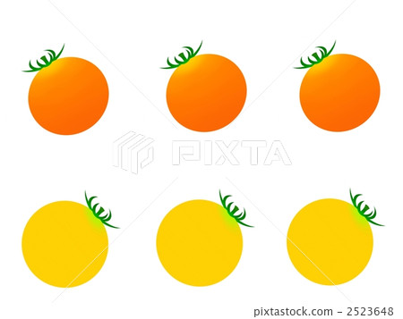 夏令時蔬 夏季蔬菜 底圖-插圖素材 [2523648] - PIXTA圖庫