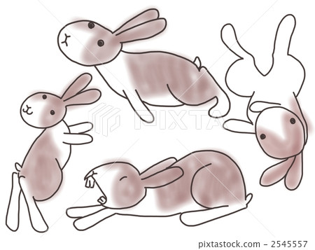 Rabbit's gesture set ② - Stock Illustration [2545557] - PIXTA