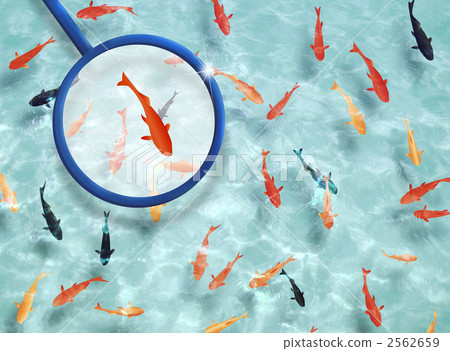Goldfish scooping - Stock Illustration [2562659] - PIXTA