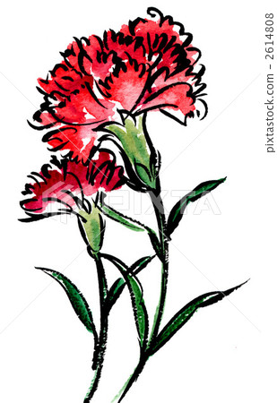 carnation picture letter style pix - Stock Illustration [2614808] - PIXTA