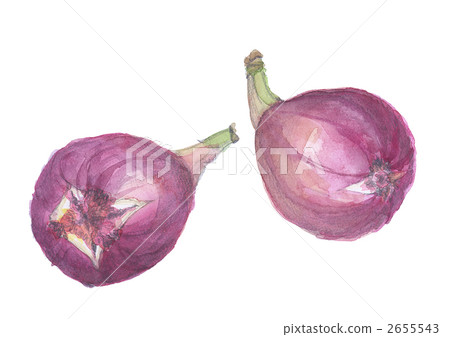 Flower felt fig - Stock Illustration [2655543] - PIXTA