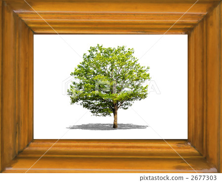 tree, wood, frame - Stock Illustration [2677303] - PIXTA