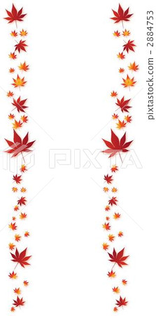 Maple line - Stock Illustration [2884753] - PIXTA