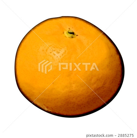 Illustration of oranges (no shadows) - Stock Illustration [2885275] - PIXTA