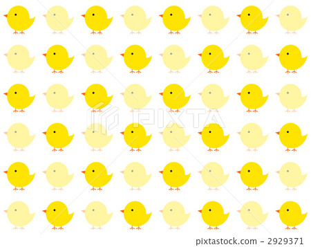 Chick background - Stock Illustration [2929371] - PIXTA