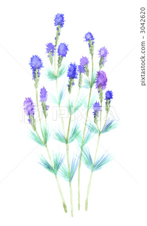 Abstract flower Blue - Stock Illustration [3042620] - PIXTA