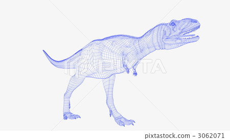 wireframe, wire frame, computer graphic - Stock Illustration [3062071 ...