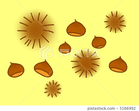 chestnut burr, the taste of autumn, illustration - Stock Illustration ...