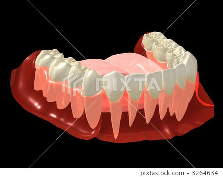Mandible permanent tooth row - Stock Illustration [3264634] - PIXTA