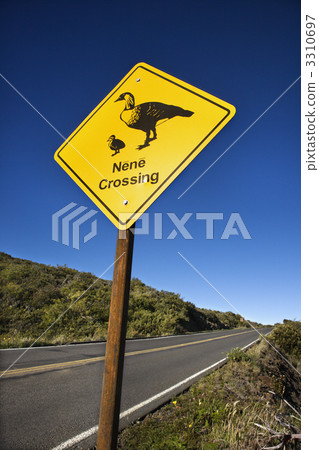 "Nene Crossing" road sign in Maui, Hawaii.-照片素材（圖片） [3310697] - PIXTA圖庫