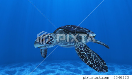 turtle, in the sea, computer graphic - Stock Illustration [3346323] - PIXTA