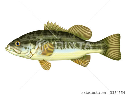 Black bus (octopus bus) - Stock Illustration [3384554] - PIXTA