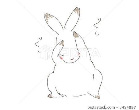 Himalayan rabbit - Stock Illustration [3454897] - PIXTA